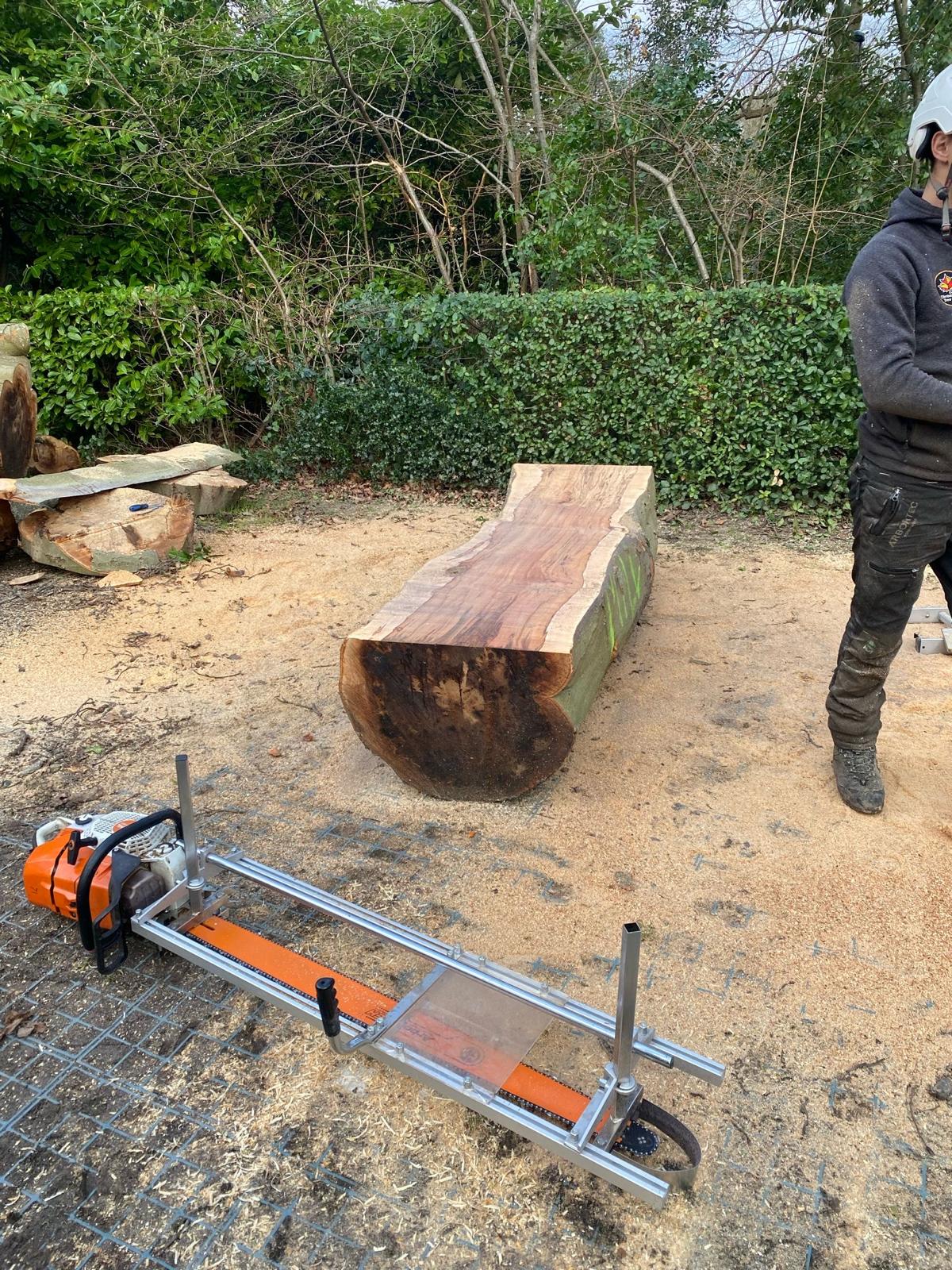 Planking for Elmbridge Borough Council - Dryad Tree Specialists